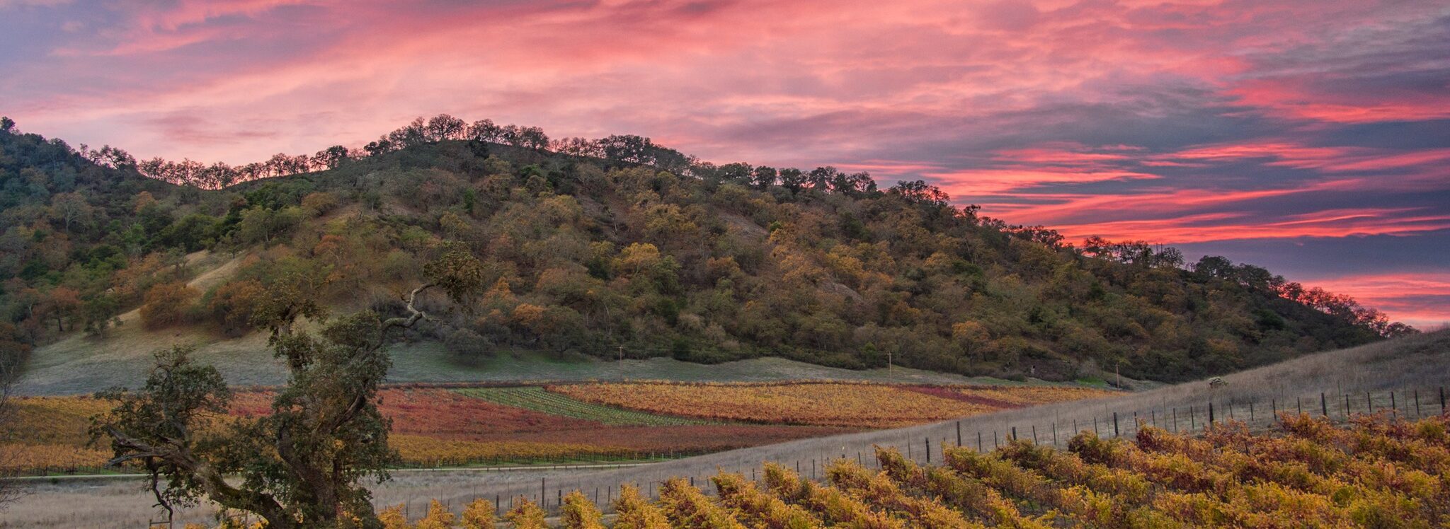 Morgan Hill DUI Lawyer | Attorney Mark Blair | Bay Area DUI Law